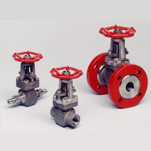 V501 Gate Valve Gachot® | SAPAG VALVES